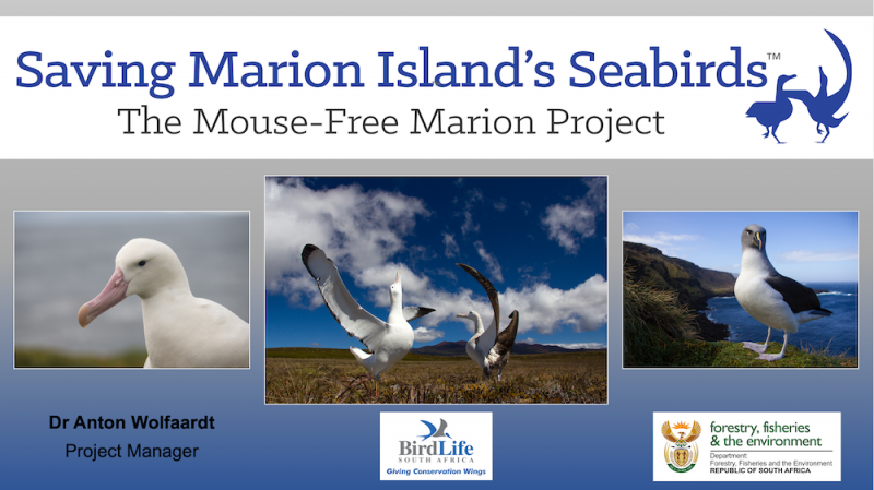 Project Manager Anton Wolfaardt gives a virtual talk on eradicating ...