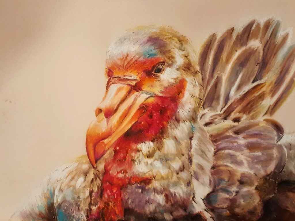 Supporting the conservation of Marion Island’s petrels through art ...