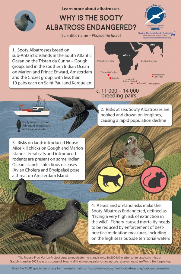 The Mouse-Free Marion Project produces its second Species Infographic ...