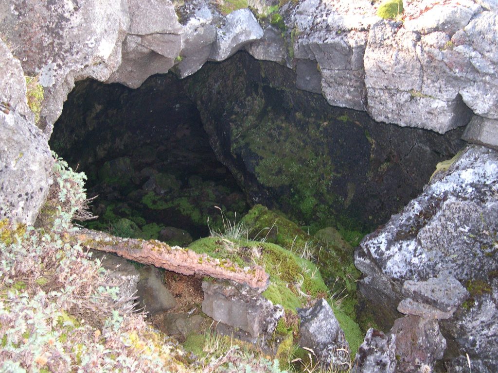 Increasing the confidence of mouse eradication: the lava tunnels of ...