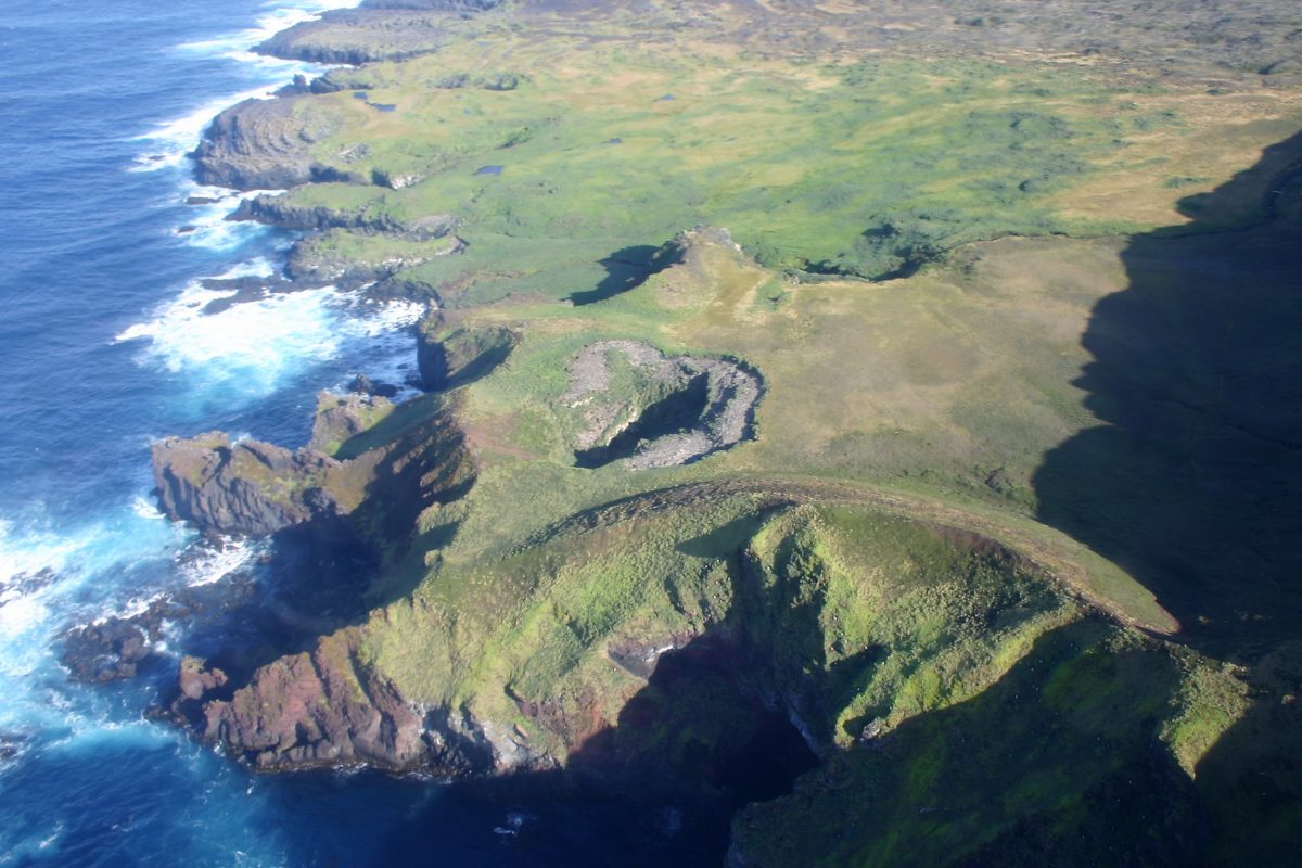 Increasing the confidence of mouse eradication: the lava tunnels of ...