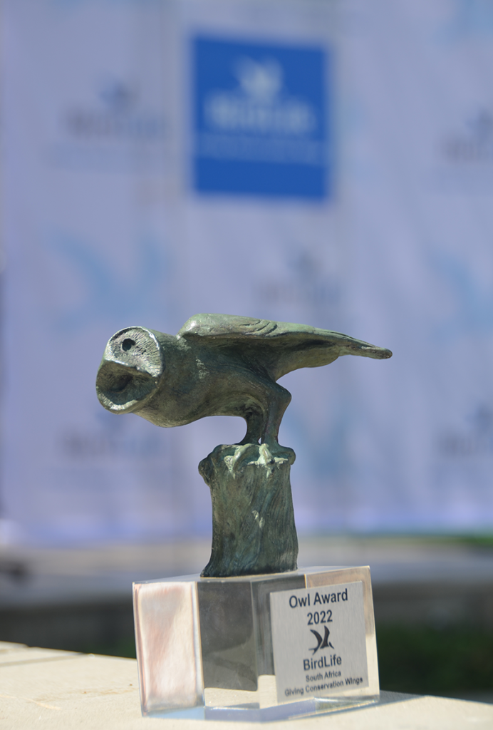 Mouse-Free Marion Project Management Committee Member, Carol Jacobs ...