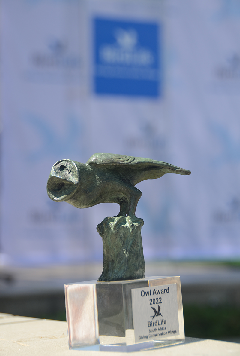 Mouse-Free Marion Project Management Committee Member, Carol Jacobs ...