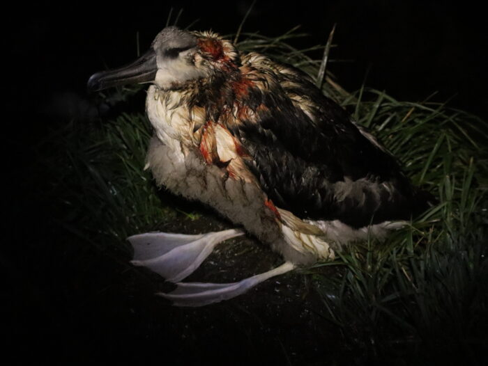 Climate emergency: COP27 and the importance of safeguarding Marion ...