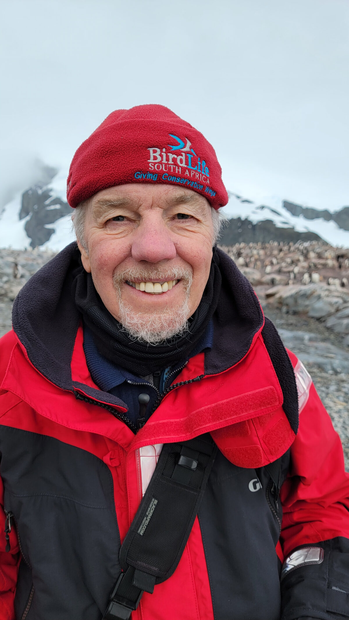 The Mouse-Free Marion Project announces its first Patron - Mouse-Free ...