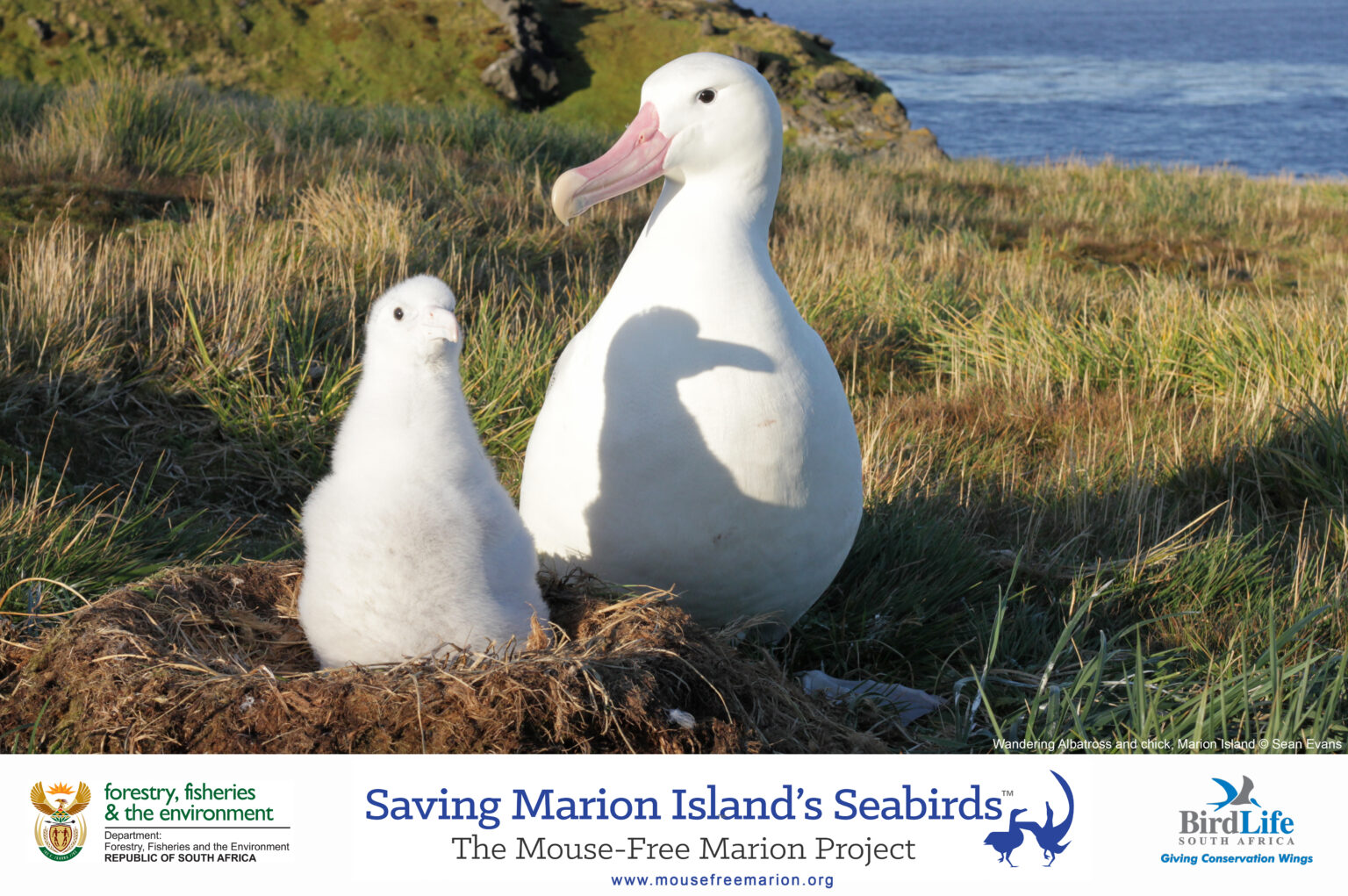 George and Cathy Ledec sponsor 200 hectares and join the Wandering ...