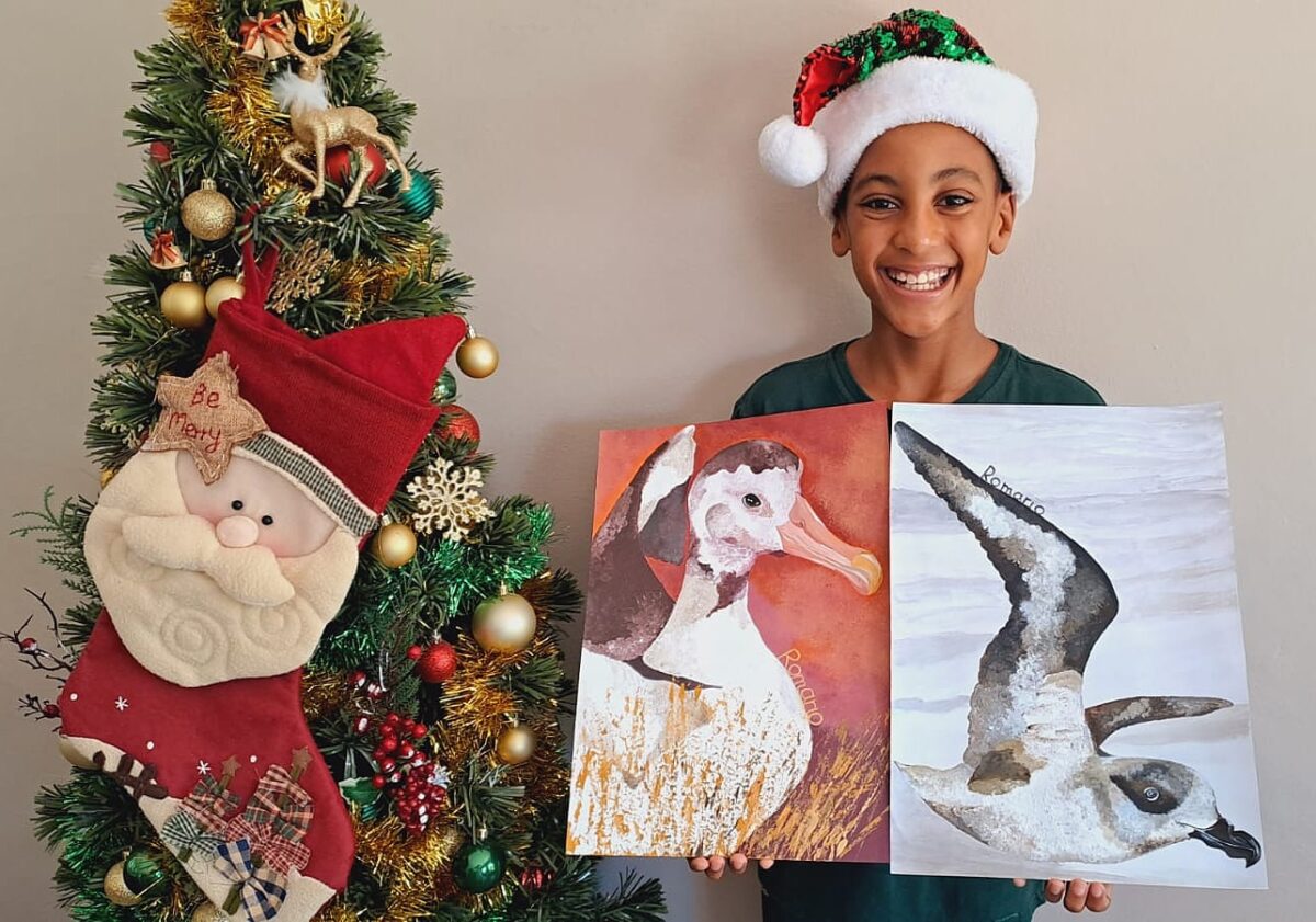 Romario’s New Year Appeal for a Mouse-Free Marion Island - Mouse-Free ...