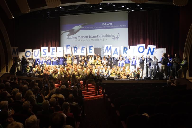 The Mouse-Free Marion Project team goes to sea and raises 3.7 million ...
